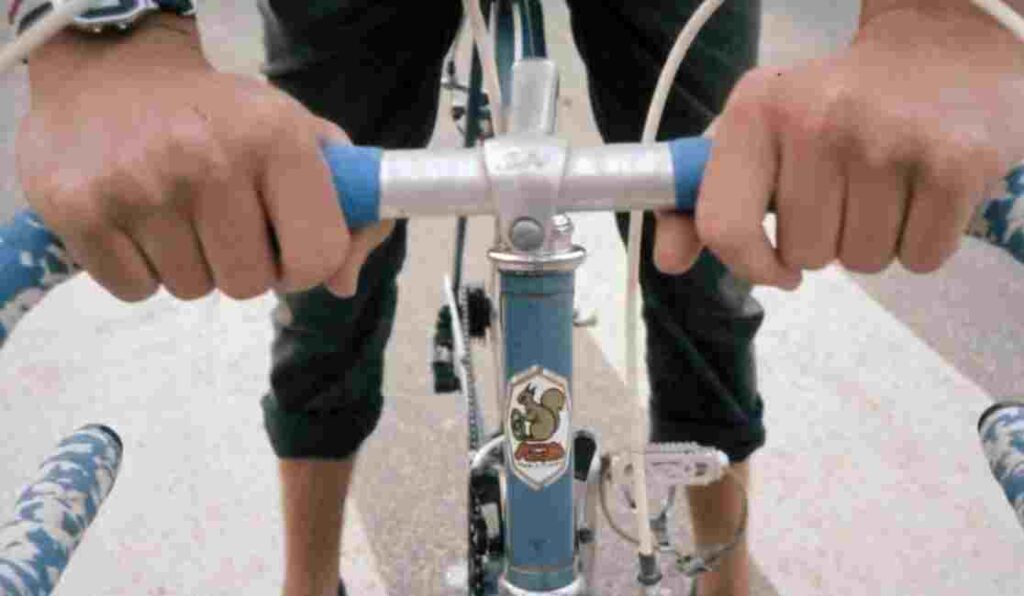 Roold Bicycle – The Forgotten French Classic with a Squirrel Mascot ...